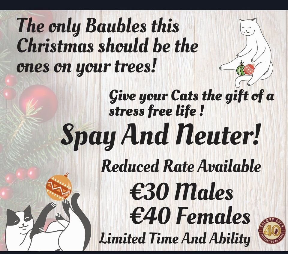 Reduced prices for Spaying and Neutering Cats – Galway SPCA