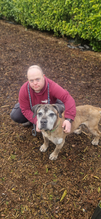 Dogs for Adoption – Galway SPCA