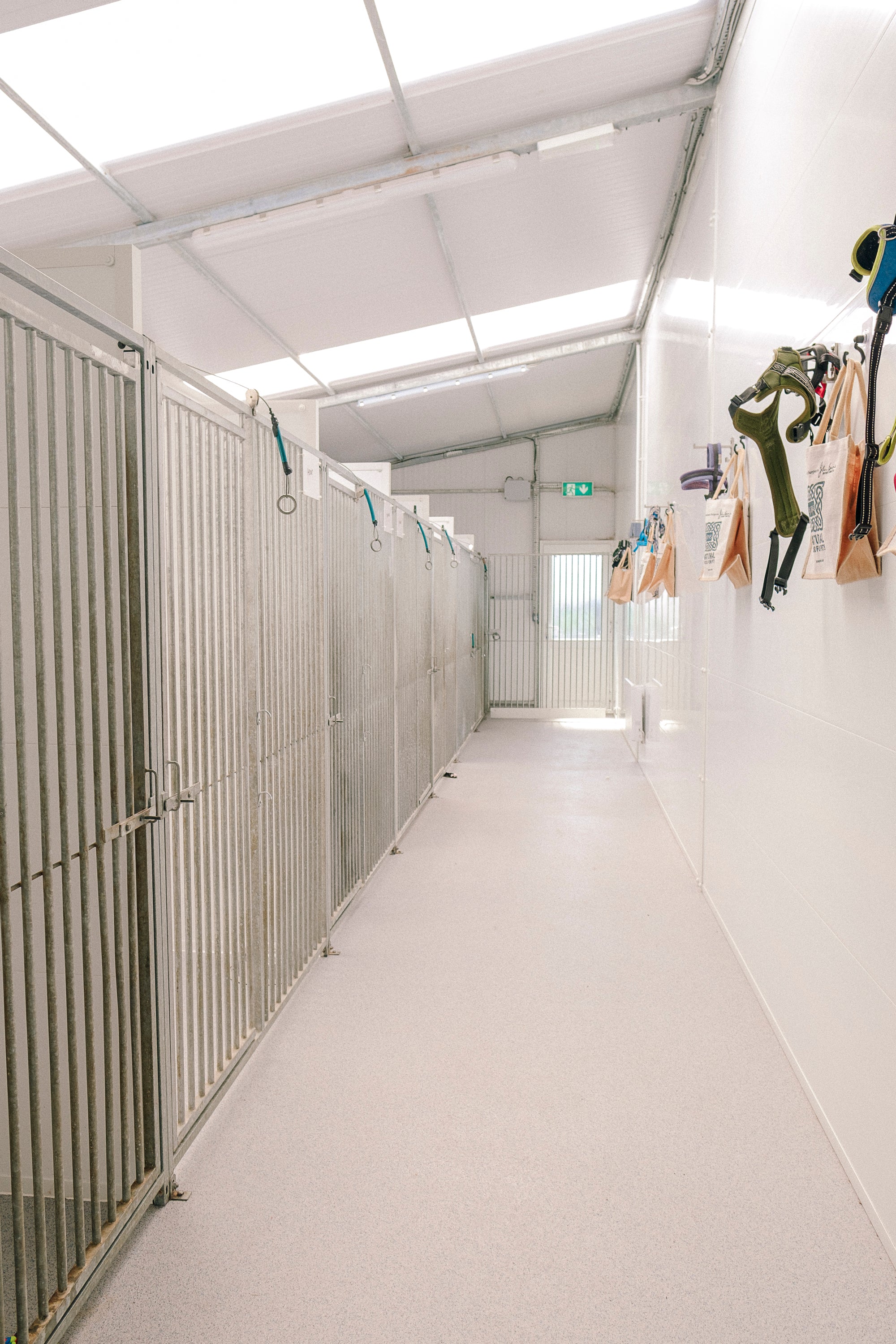 Kennels – Galway SPCA